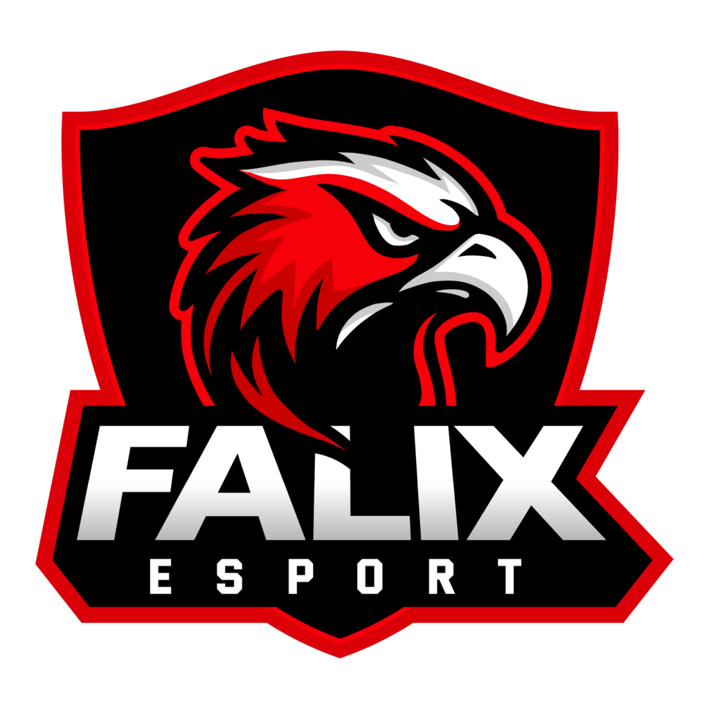 VALORANT DIVISION – Falix Esports